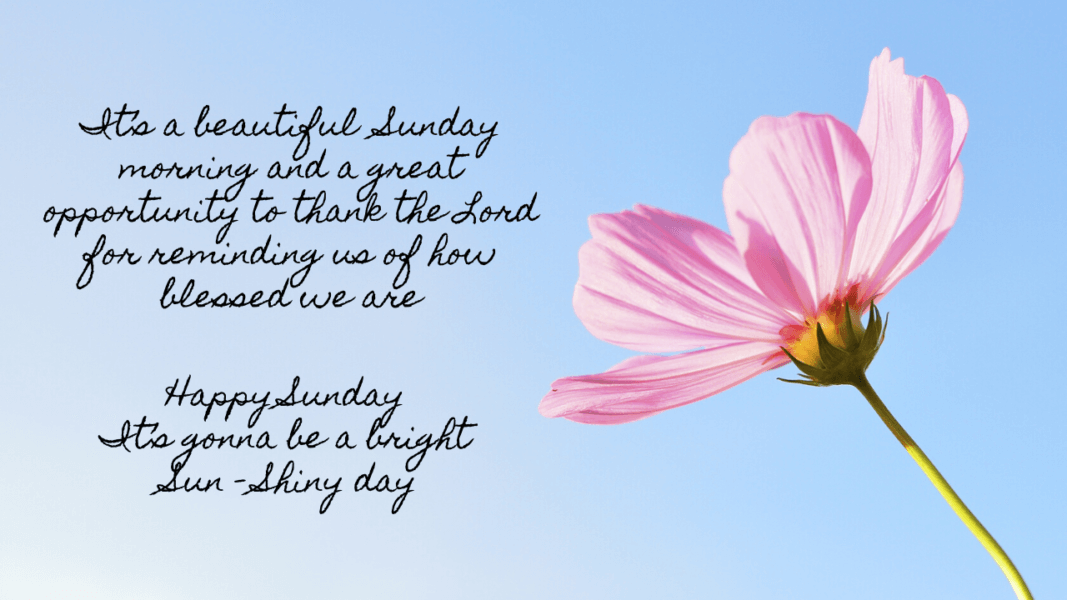 Super Soul Sunday 12/1/19 - 50 Friendly